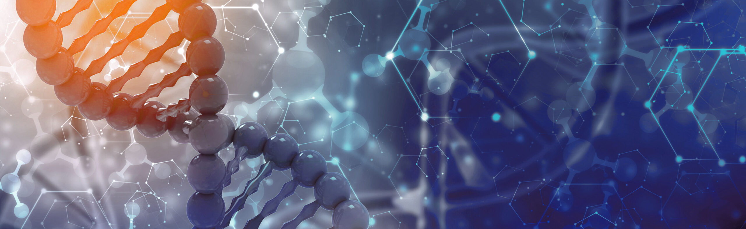 Common Mechanism - IBBIS